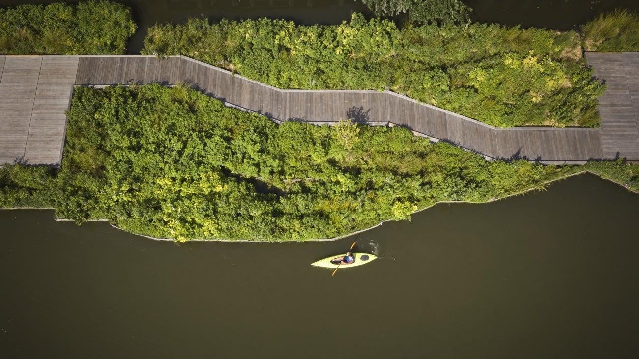 How biocentric architecture can help architects hit climate goals | The ...