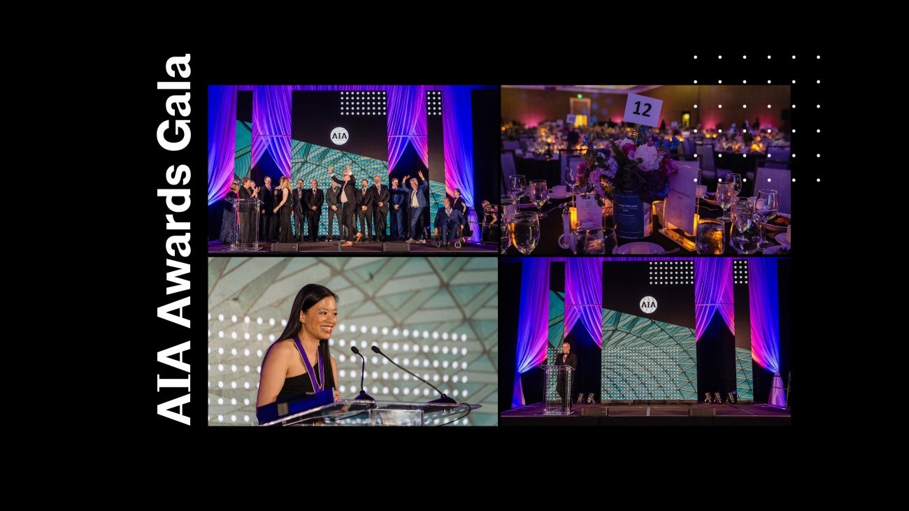 AIA Awards 2025 Recipients Announced in 11 Project Categories | The ...