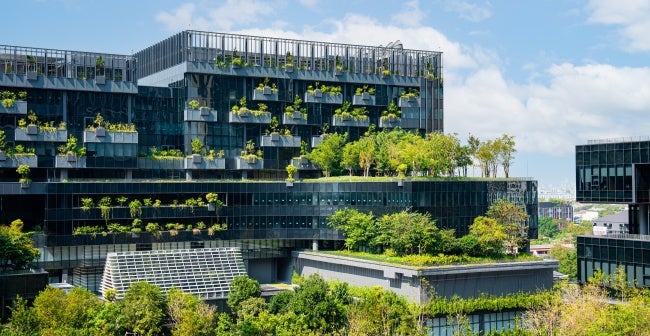 AIA Climate Action Plan