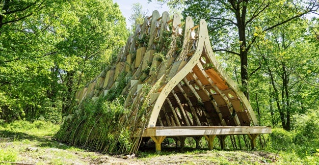 How biocentric architecture can help architects hit climate goals | The ...