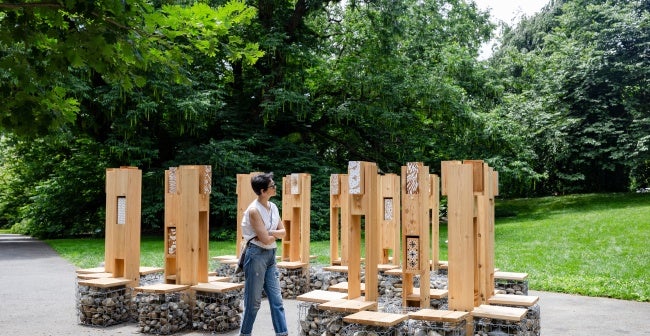 How biocentric architecture can help architects hit climate goals | The ...