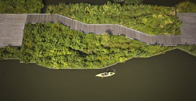 How biocentric architecture can help architects hit climate goals | The ...