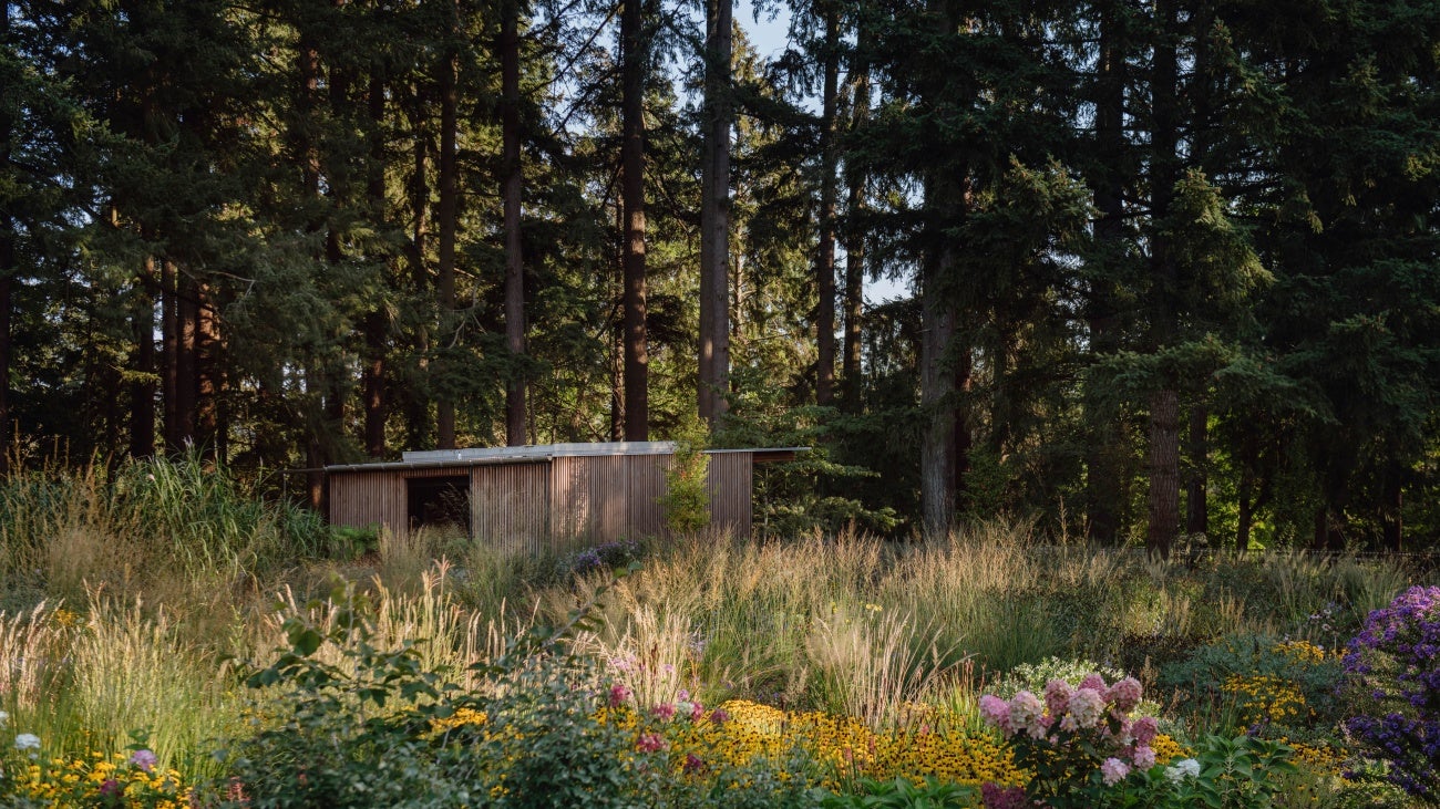 2024 AIA Small Projet Award: Leach Botanical Garden Pavilion & Tree Walk