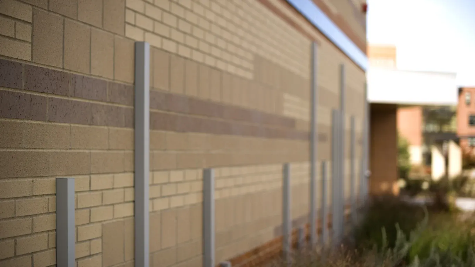 AIA Young Architect award: Allison Dvorak, AIA