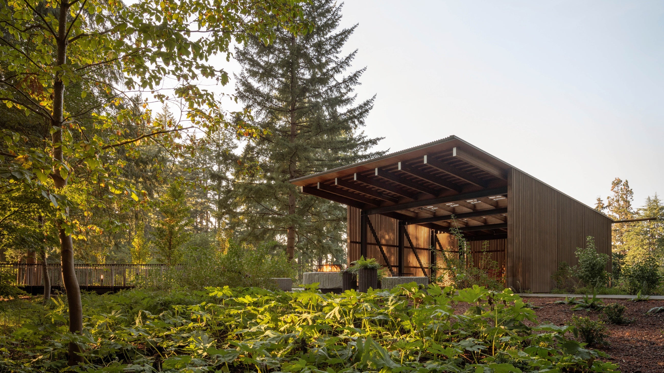 2024 AIA Small Projet Award: Leach Botanical Garden Pavilion & Tree Walk