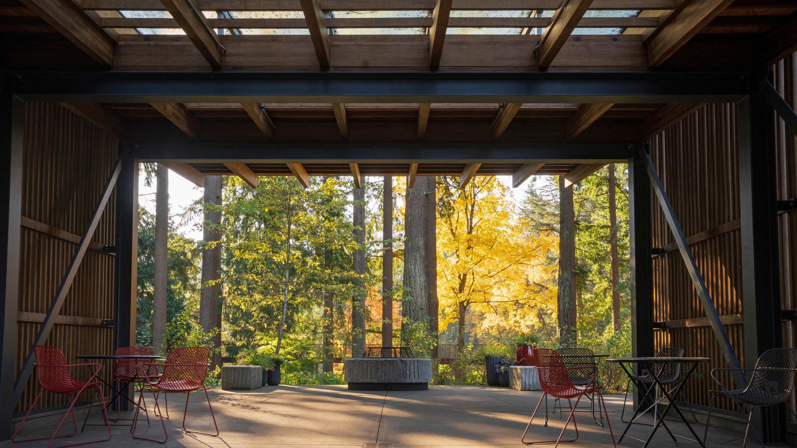 2024 AIA Small Projet Award: Leach Botanical Garden Pavilion & Tree Walk