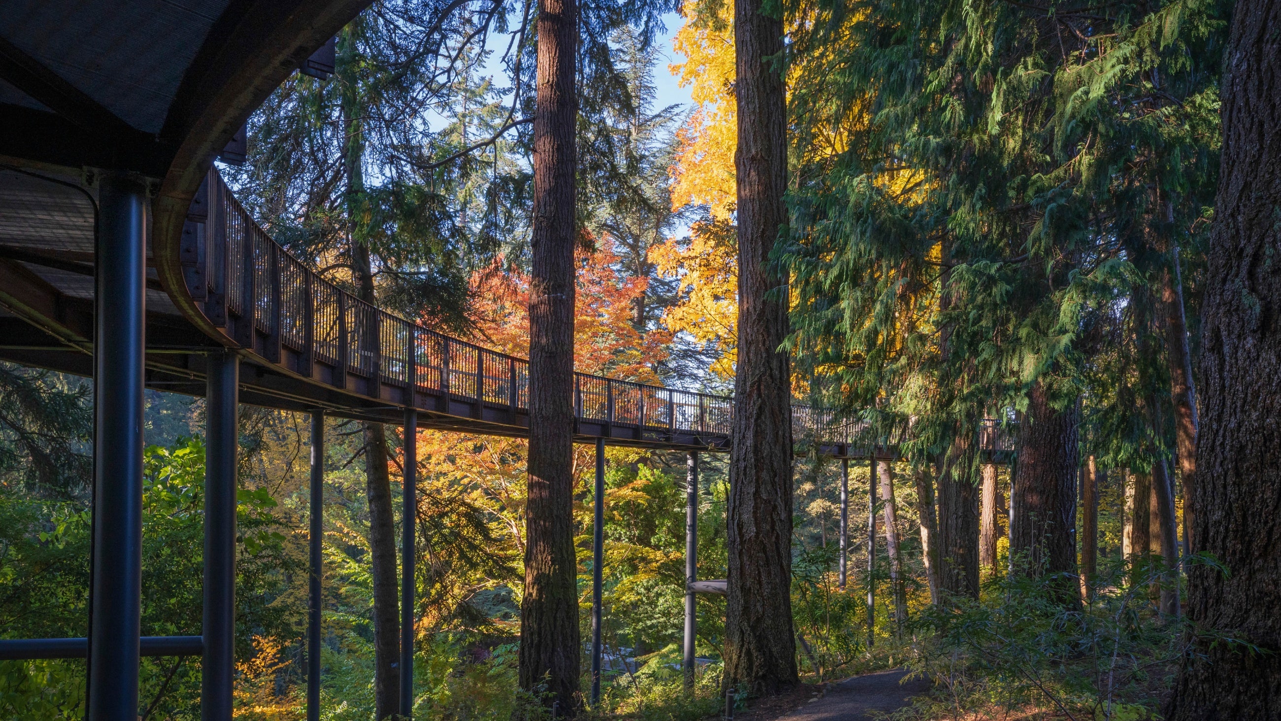 2024 AIA Small Projet Award: Leach Botanical Garden Pavilion & Tree Walk