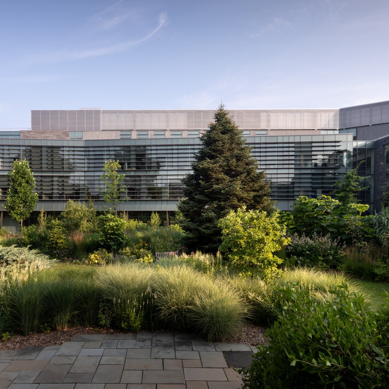 Education Facility Design Award 2024 | The American Institute of Architects